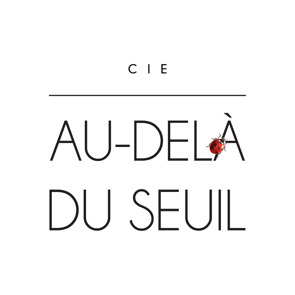 Festival Handivalid' - Intervention théâtrale - Cie Au-delà du seuil